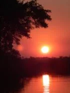 Donate — Safe Drinking Water Foundation