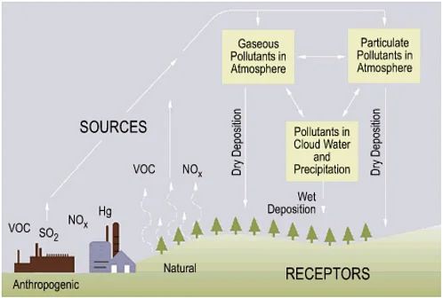 Acid Rain — Safe Drinking Water Foundation