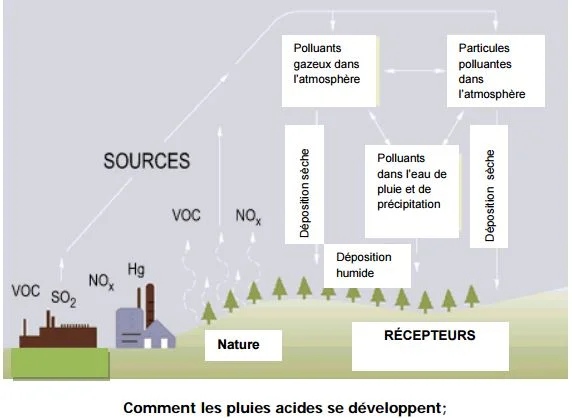 Pluie acide — Safe Drinking Water Foundation