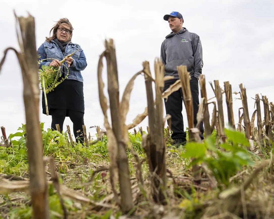 Climate Changed: Quebec farmers improve soil as water supply becomes ...