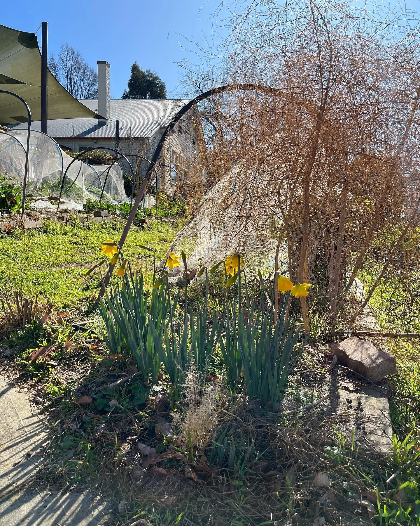 Canberra Environment Centre