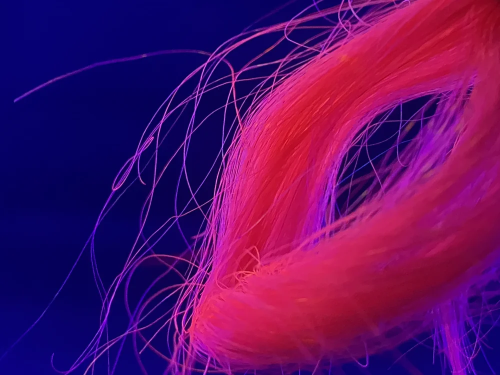 NEW! UV Reactive EVENT HORIZON Semi Permanent Hair Dye — Cosmic Void