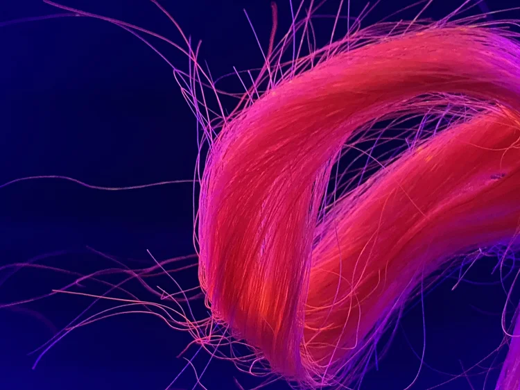 NEW! UV Reactive EVENT HORIZON Semi Permanent Hair Dye — Cosmic Void