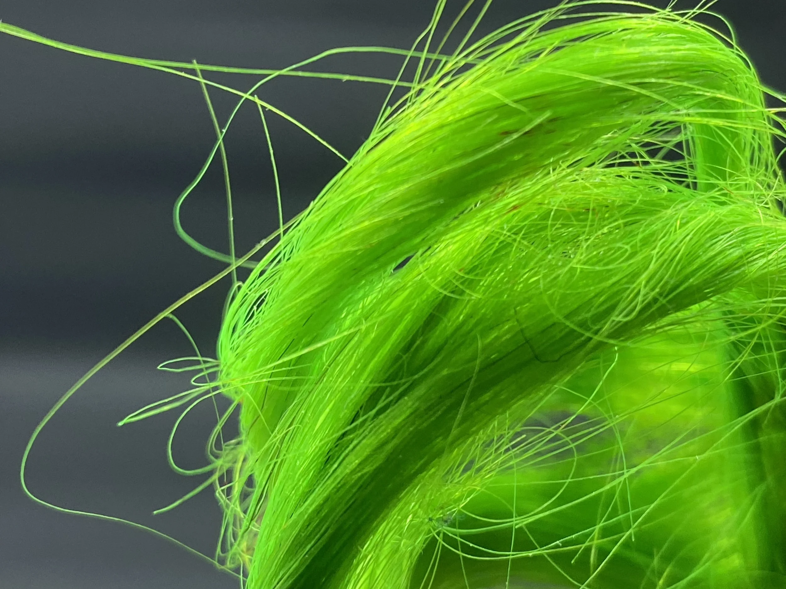 UV REACTIVE Azurite Blue Hair Dye — Cosmic Void