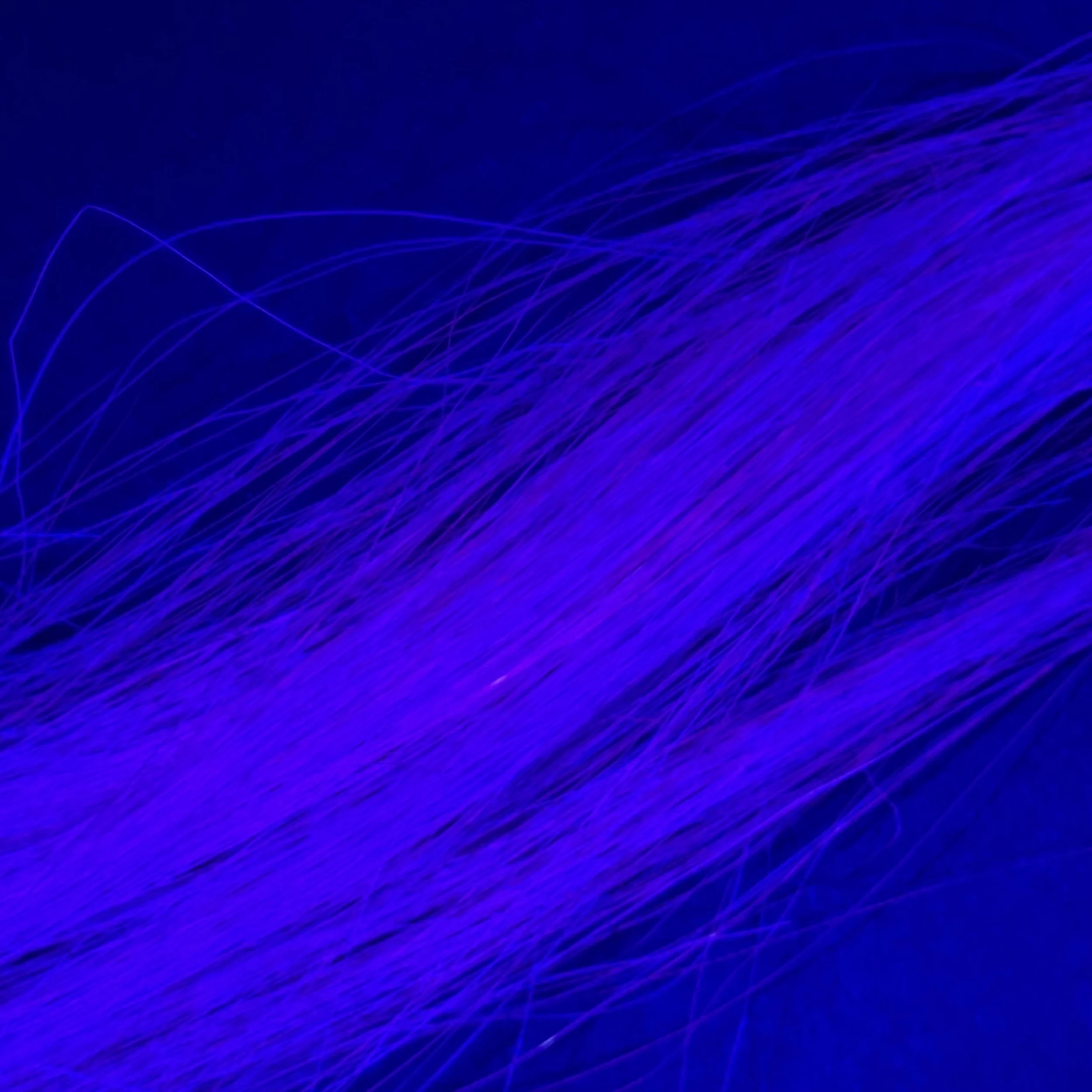 EVENT HORIZON - UV REACTIVE Purple/Magenta Semi Permanent Hair Dye ...