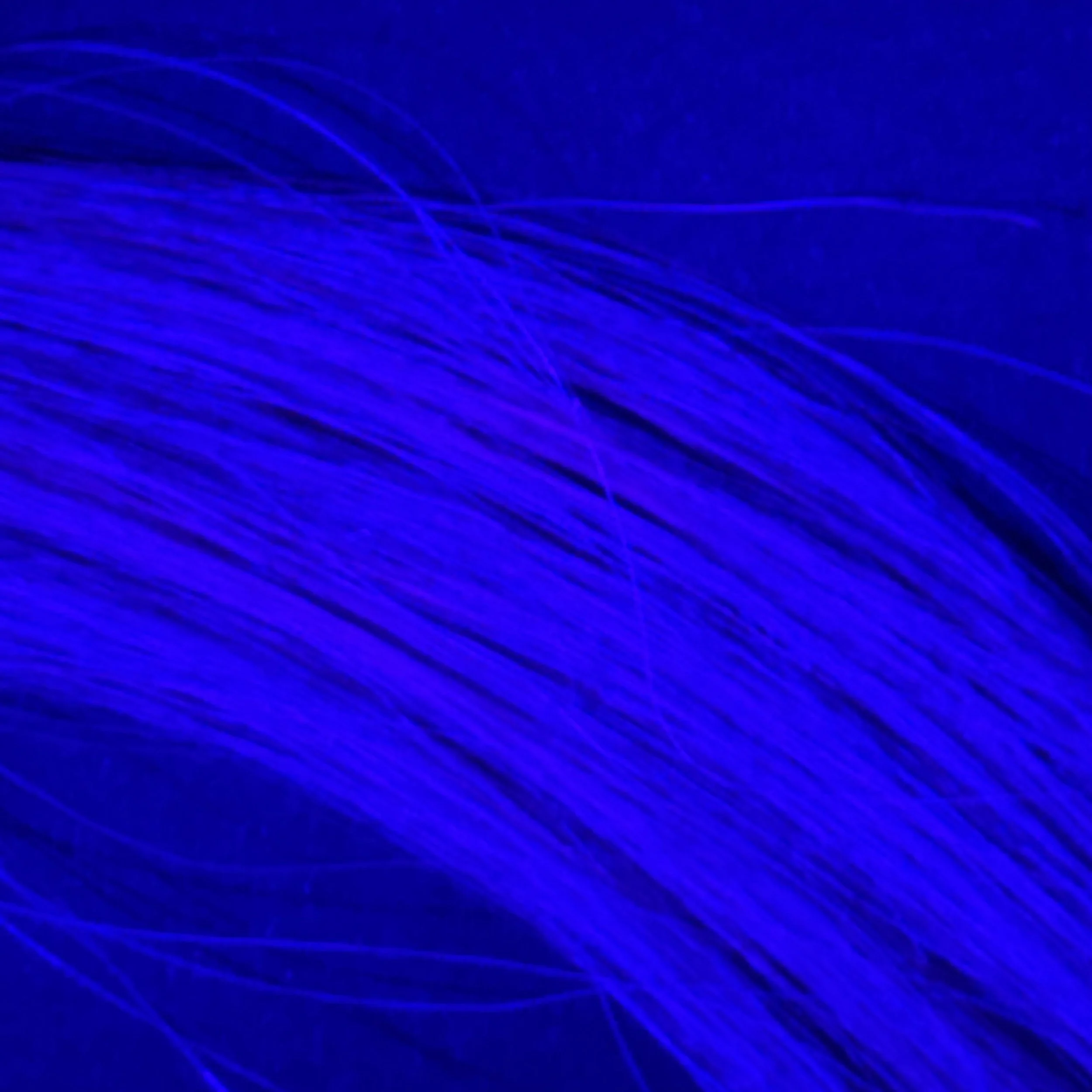 EVENT HORIZON - UV REACTIVE Purple/Magenta Semi Permanent Hair Dye ...