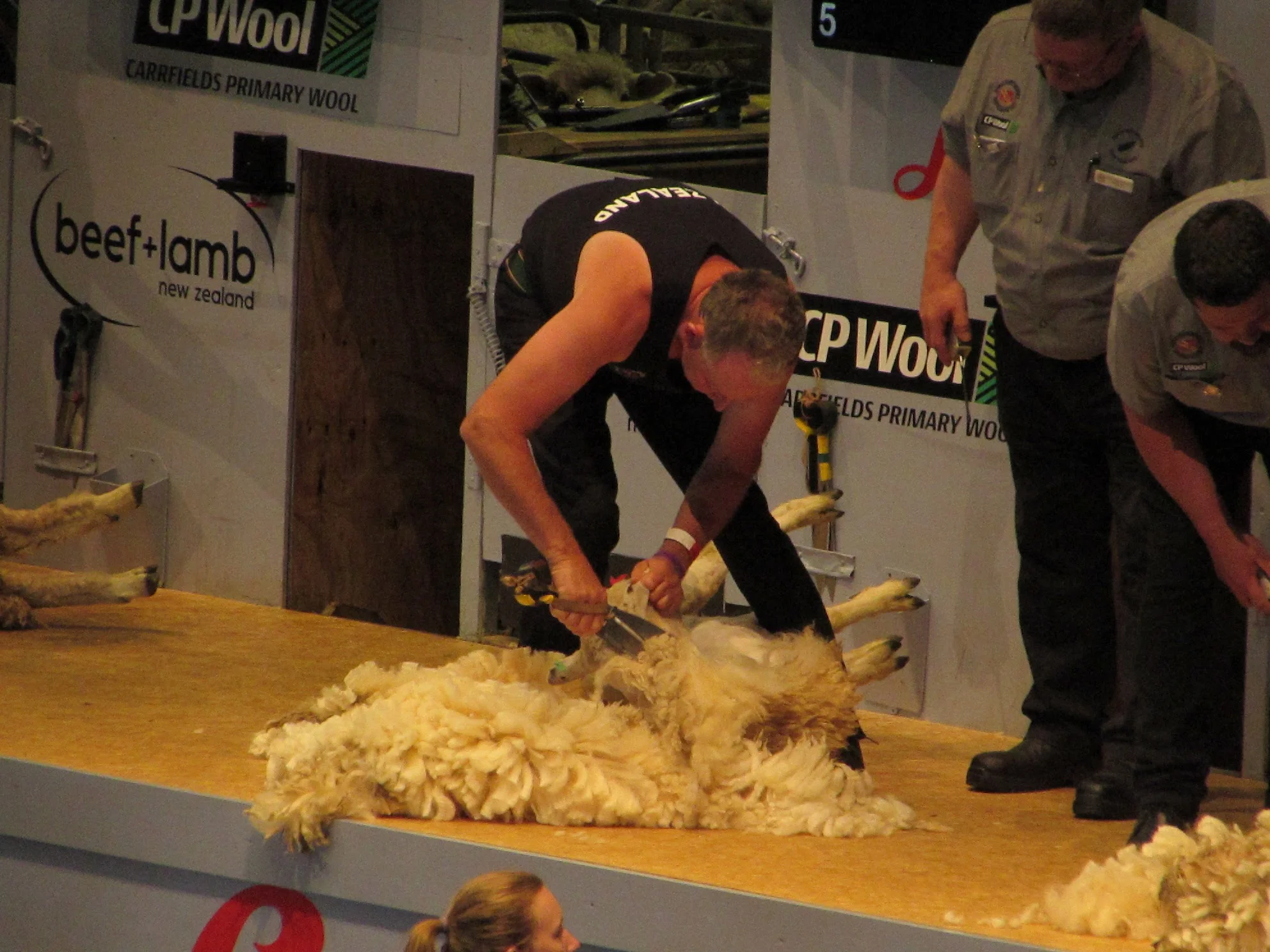 The Wild, Woolly World of Competitive Sheep Shearing — Savvy Dispatches