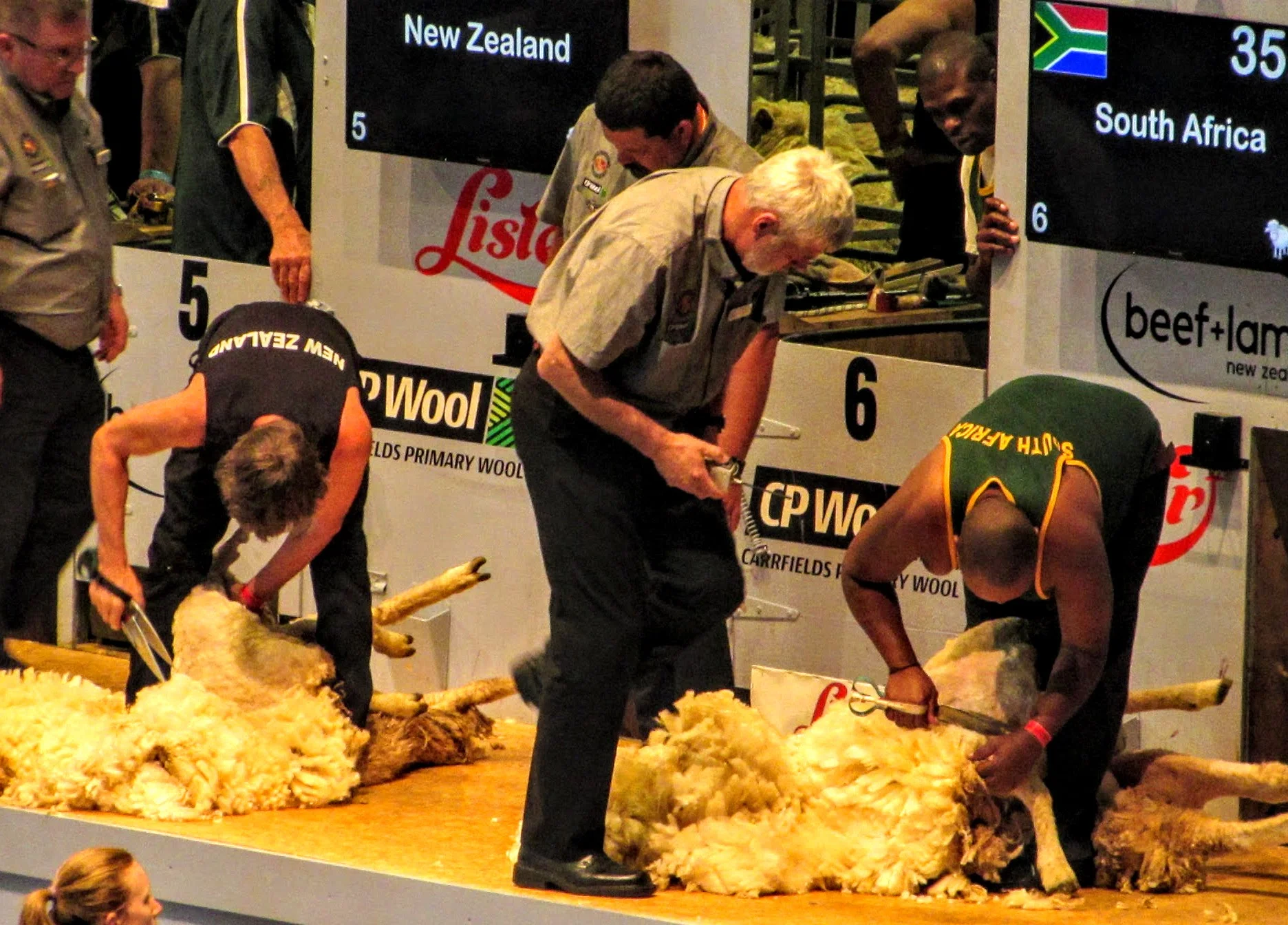 The Wild, Woolly World of Competitive Sheep Shearing — Savvy Dispatches