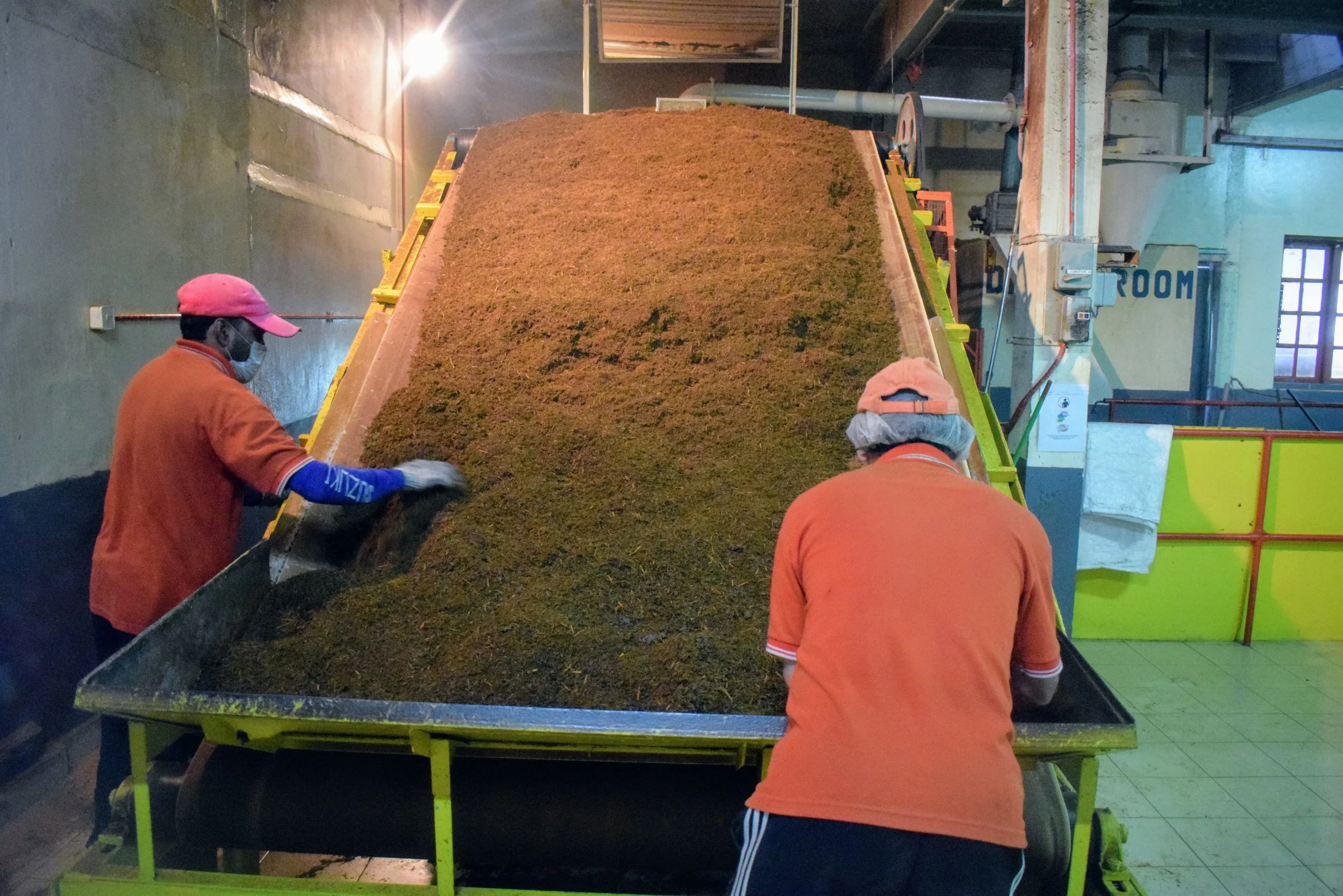 Two Days In Malaysia's Tea Country — Savvy Dispatches