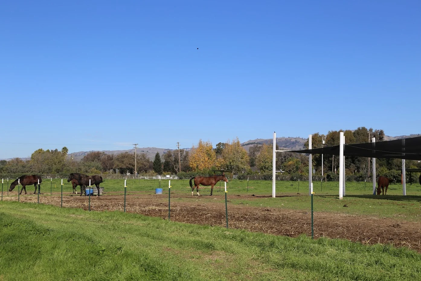 Ranch Photos — The Acres