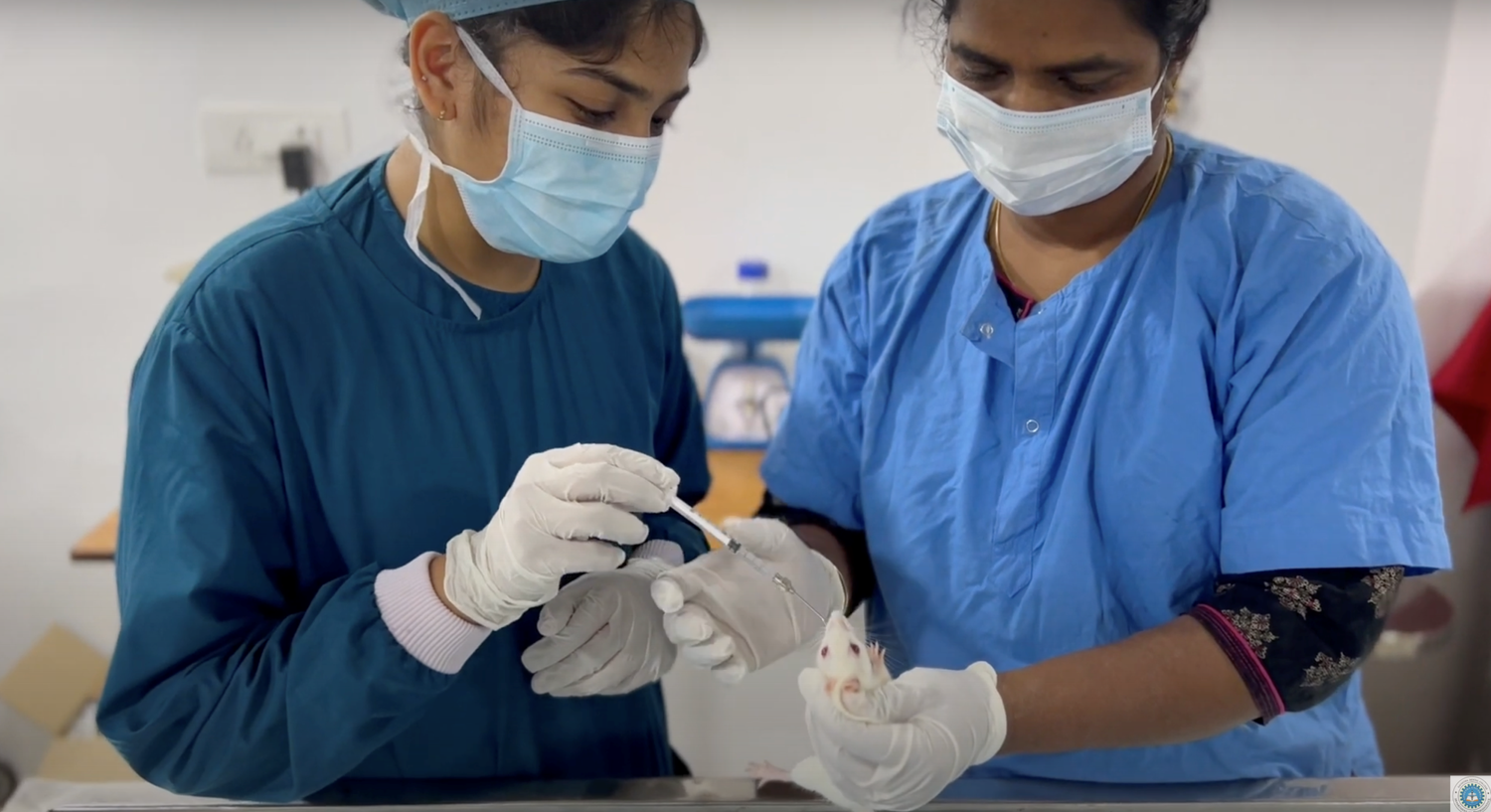 RESEARCH — orthodontics - SDC