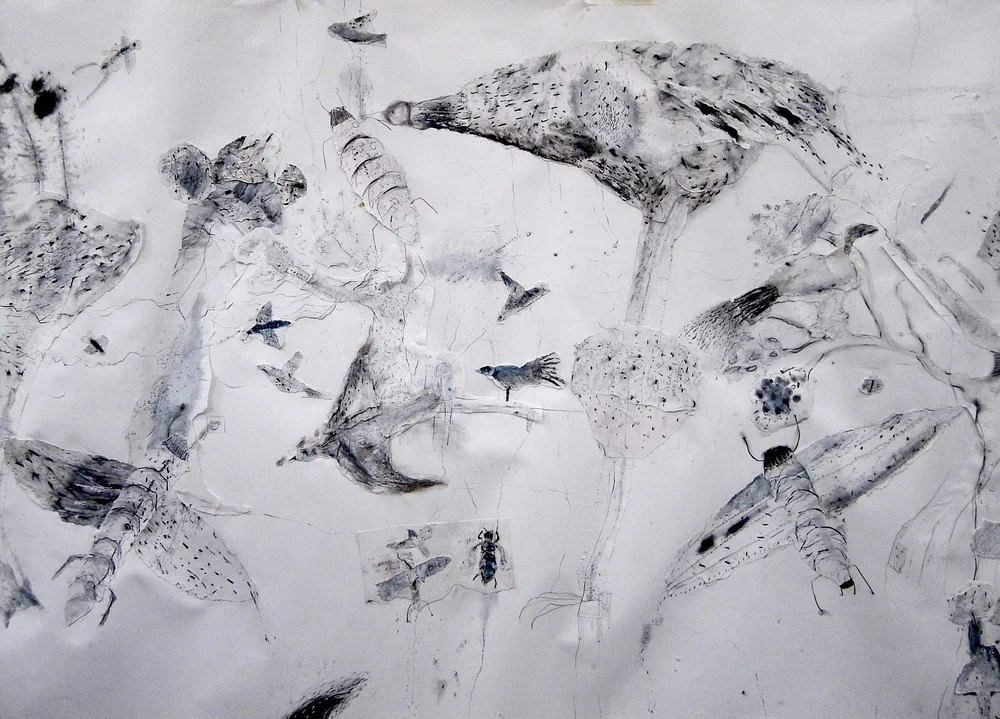 Journal — Shelagh Wilson