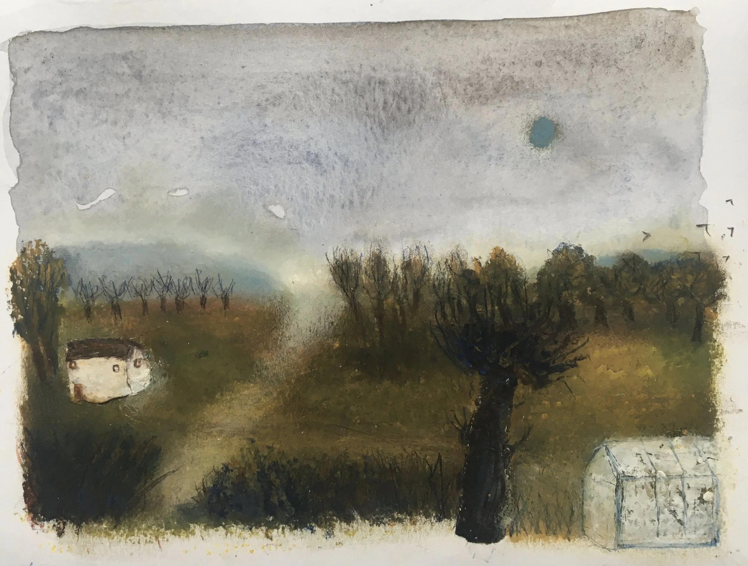 landscapes — Shelagh Wilson