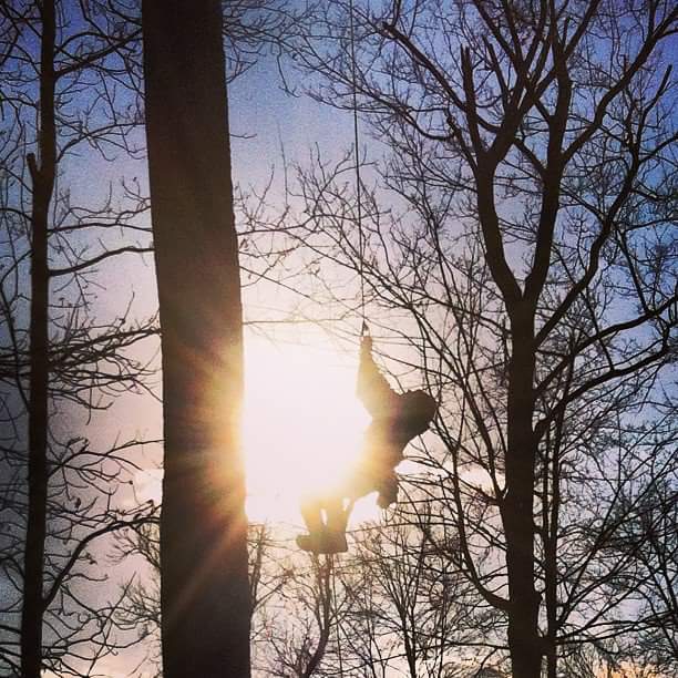 Madison Tree Care and Landscaping