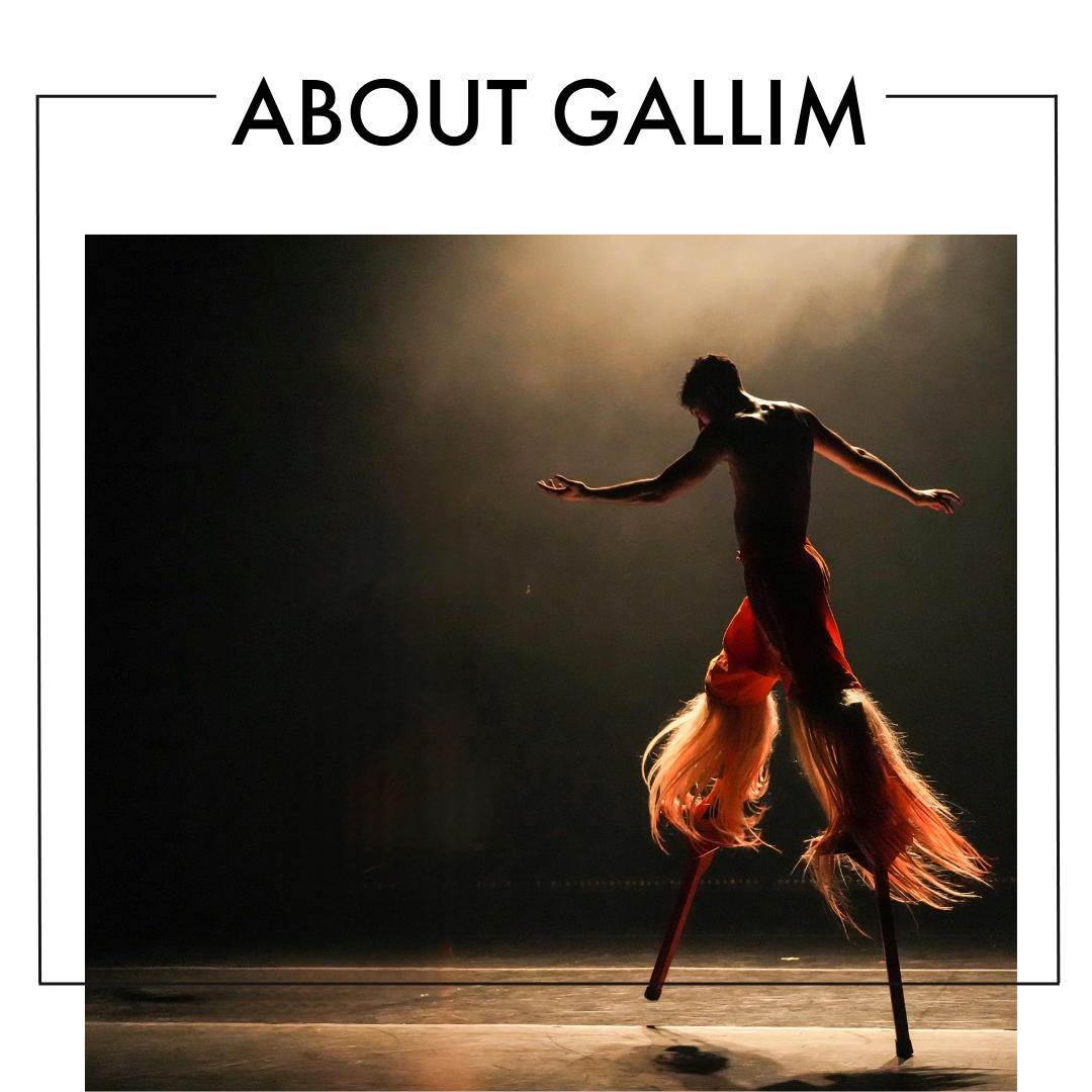 WHO WE ARE — GALLIM