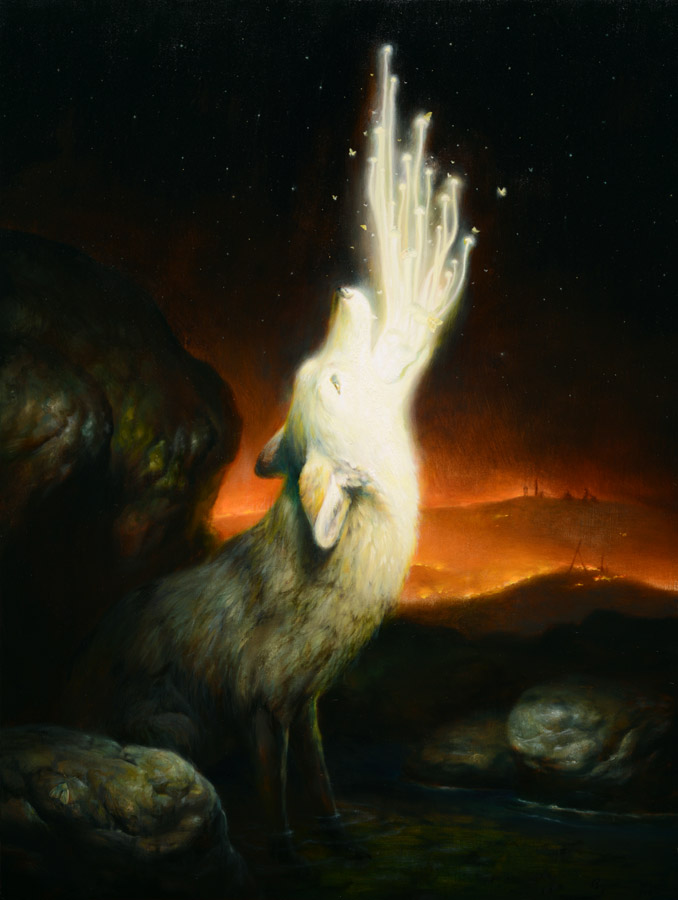 MARTIN WITTFOOTH