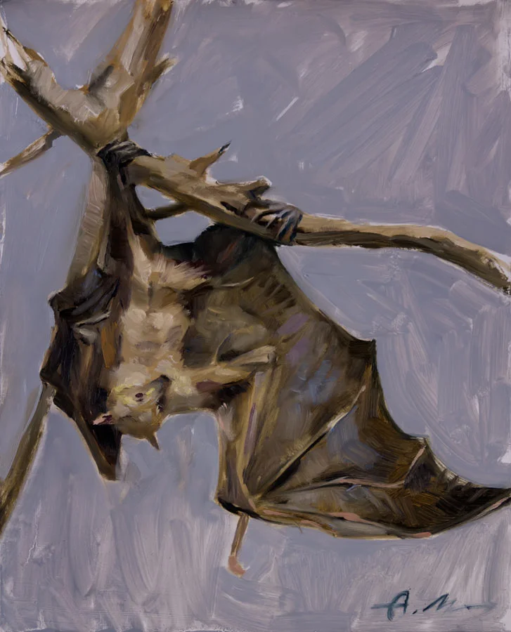 Illustrations available for licensing — Aaron Miller Fantasy Art ...