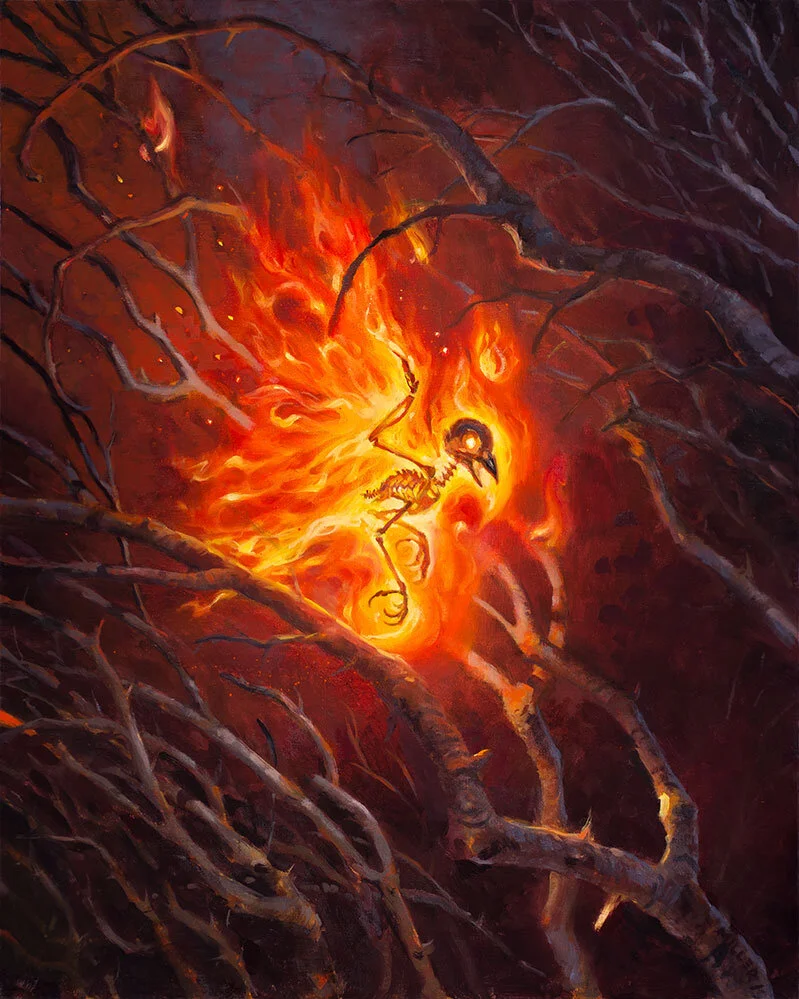 Elemental Birds Firebird By Irbisota On Deviantart