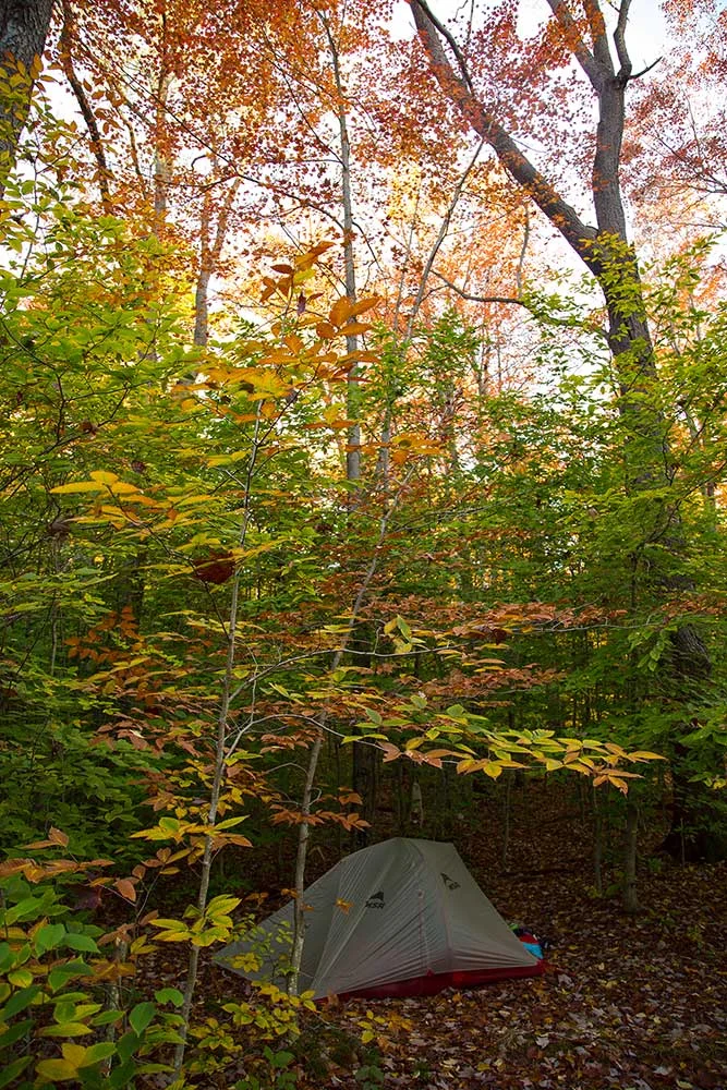 Allegheny National Forest Hiking Trails — Allegheny Outfitters