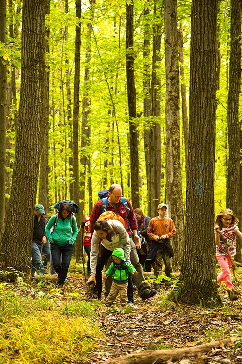 Allegheny National Forest Hiking Trails — Allegheny Outfitters