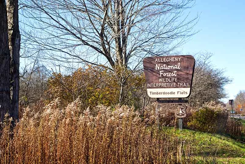 Allegheny National Forest Hiking Trails — Allegheny Outfitters