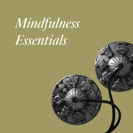 Mindfulness Essentials by Thomas McConkie — Lower Lights