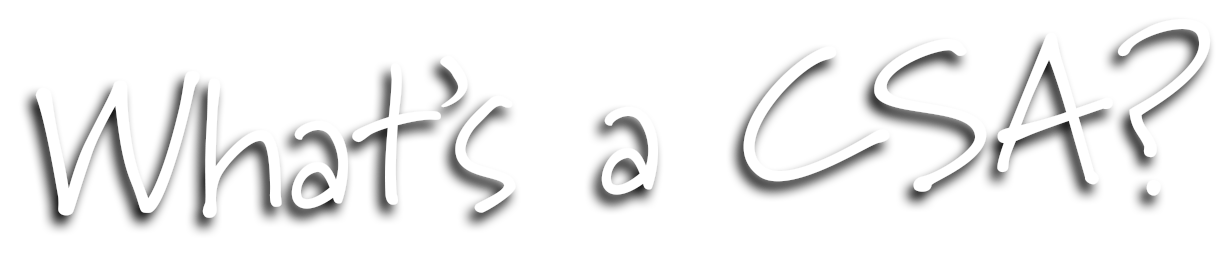 What is a CSA? — Kimberton CSA