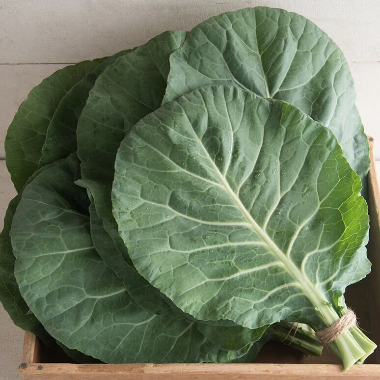 Collards — Kimberton CSA