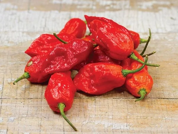 Hot Peppers — Kimberton CSA
