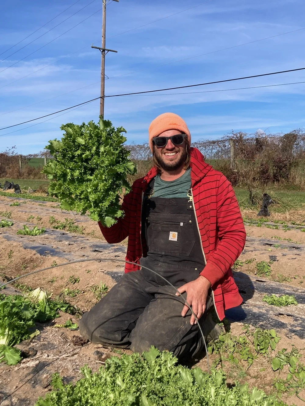 Our Team — Kimberton CSA