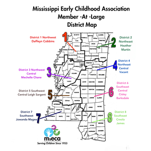 Executive Board — Mississippi Early Childhood Association