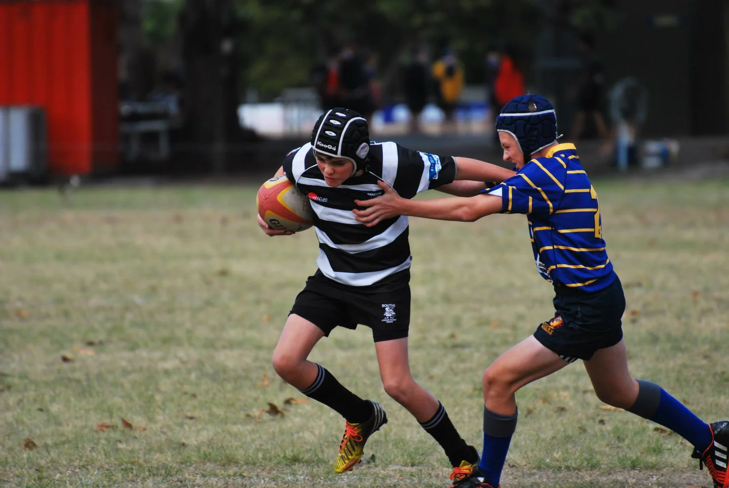 Junior Rugby — Souths Rugby Union Club