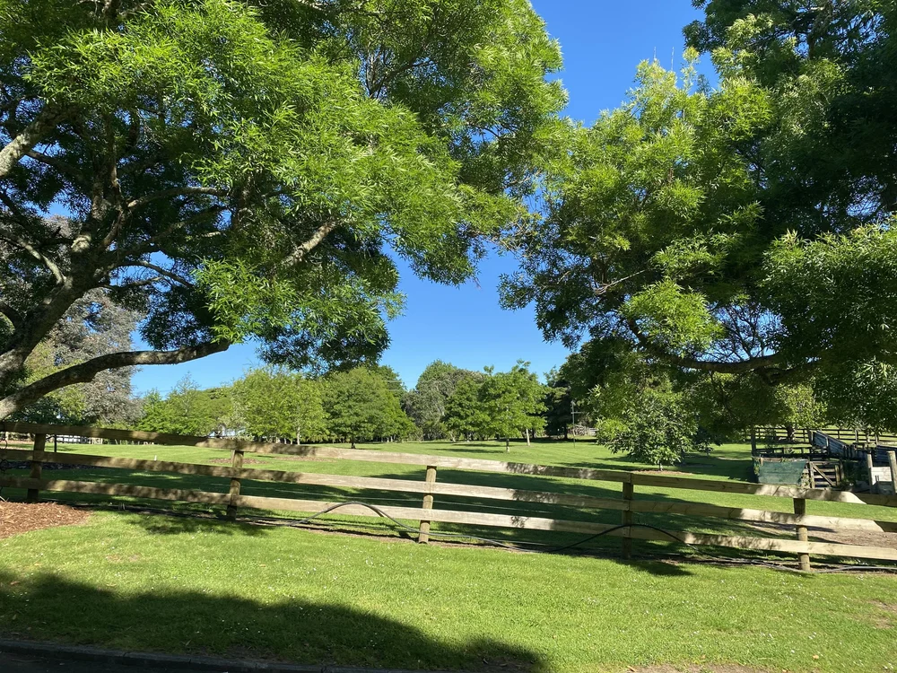 Alcohol & Drug Private Residential Rehabilitation Auckland | Addiction ...