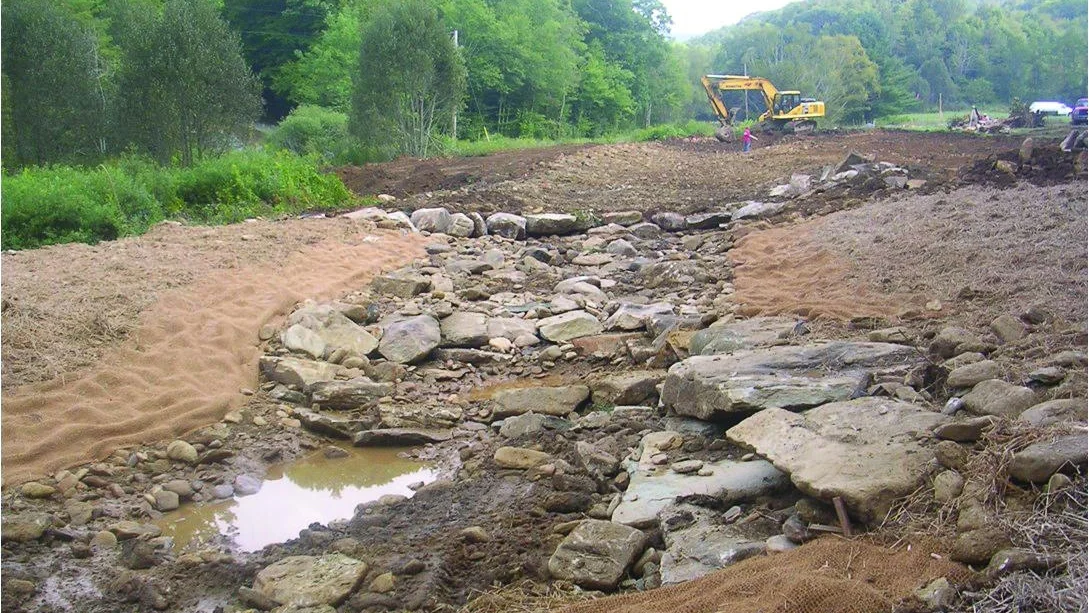 Stream Restoration — Resource Institute, Inc.