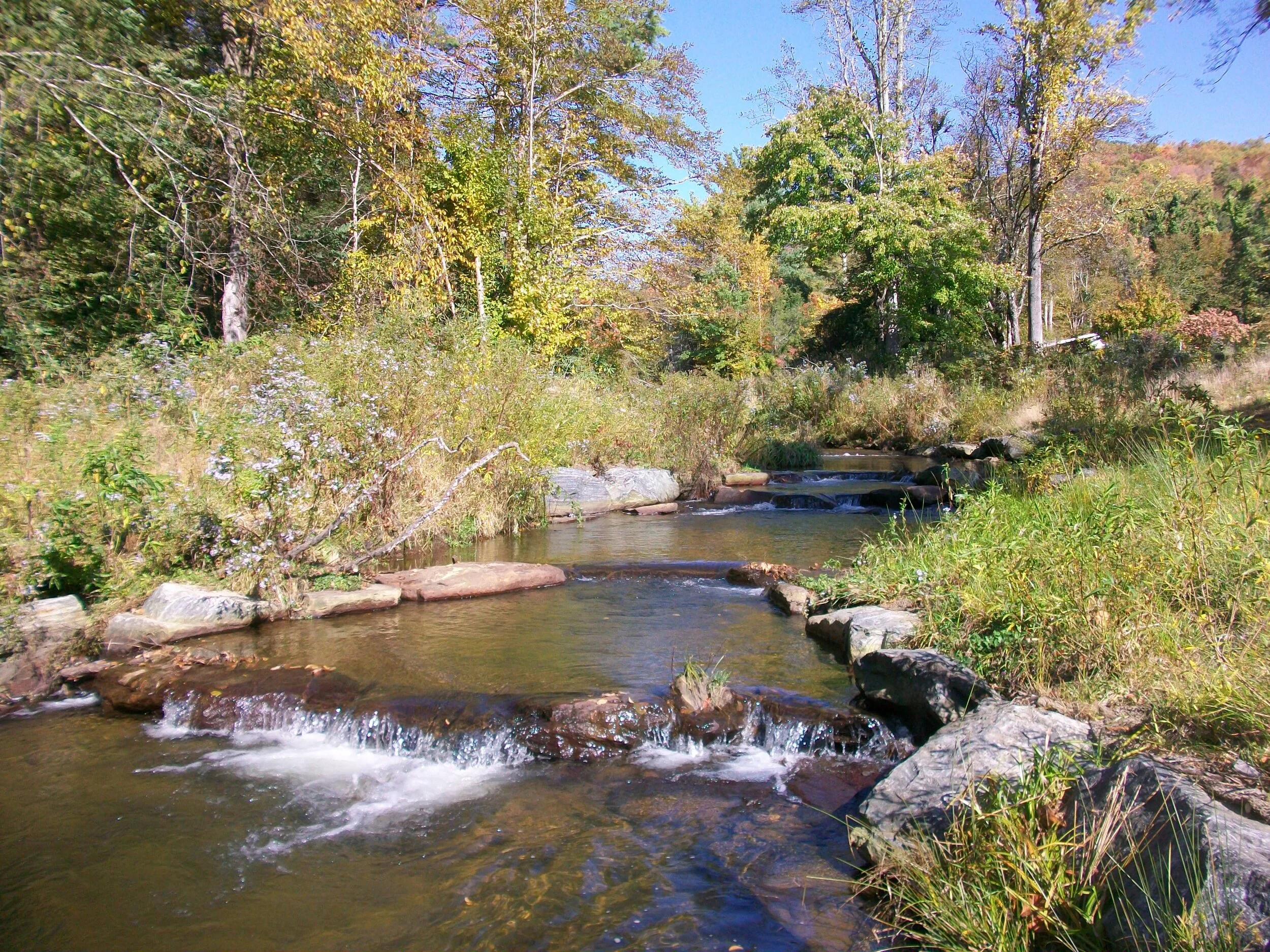 Stream Restoration News — Resource Institute, Inc. Resource Institute