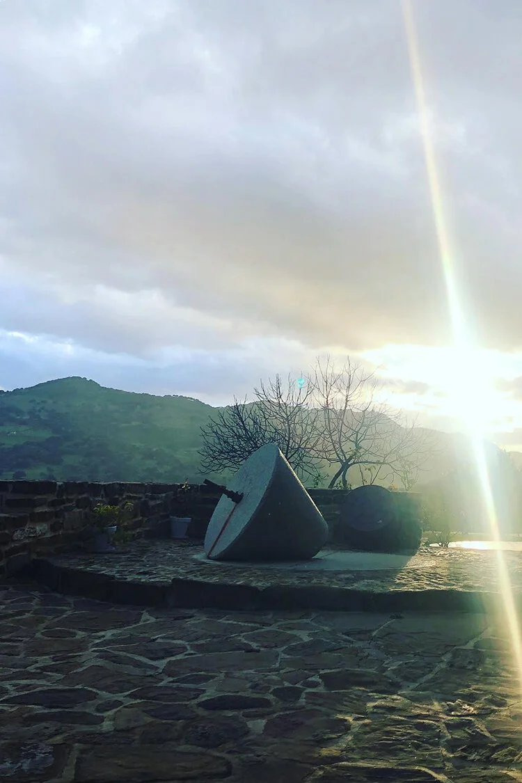 Blog — Sofia Manning