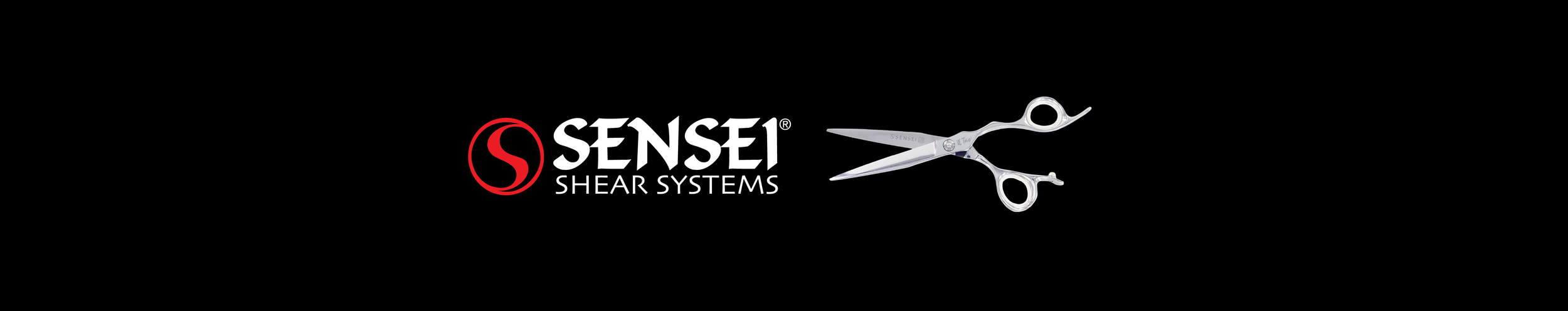 SENSEI — Superior Edge