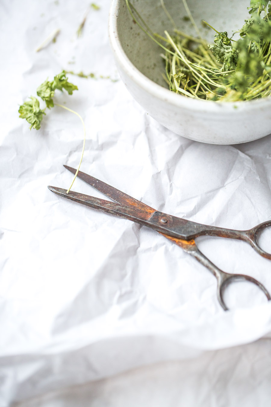 Your personal visual style — Nellaino