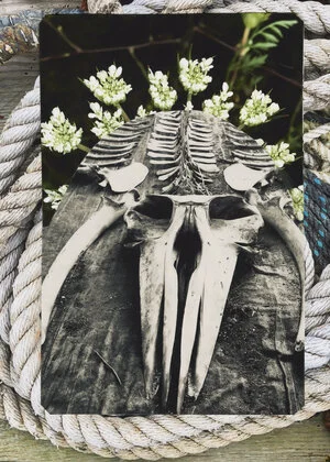 Still River Editions Past Exhibitions — Still River Editions