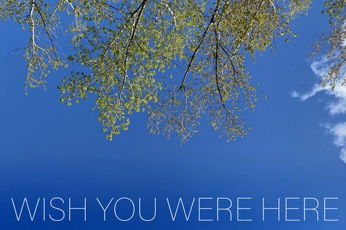 Still River Editions Past Exhibitions — Still River Editions