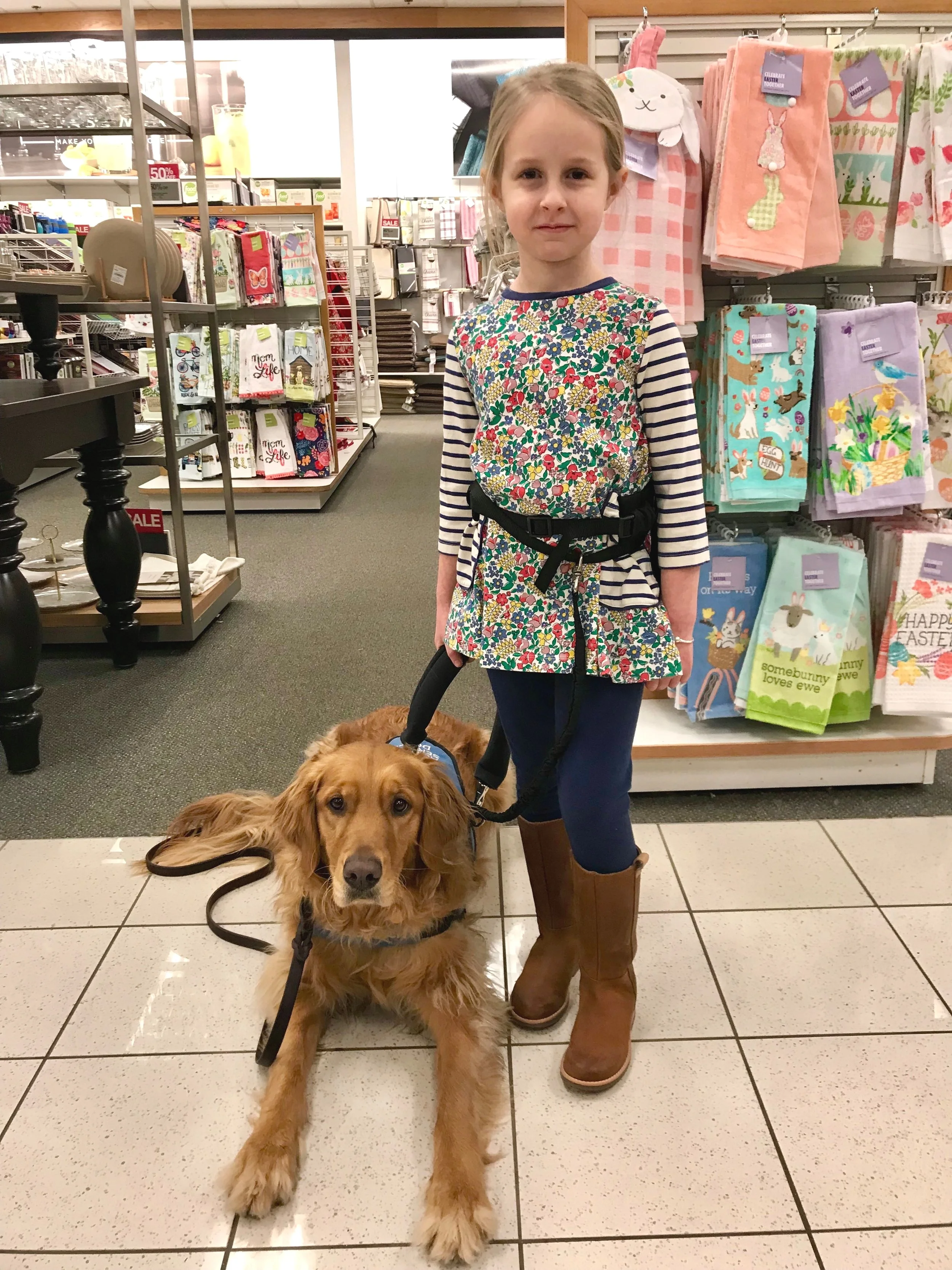 How Do You Tether A Puppy