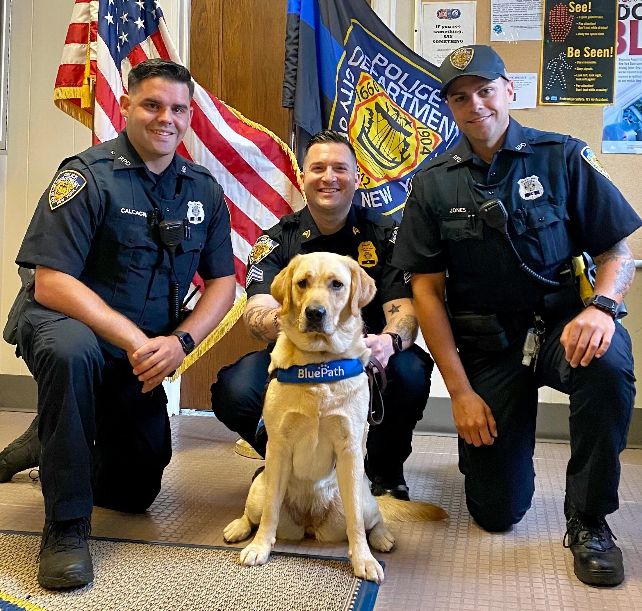 BluePath Service Dogs - Blog