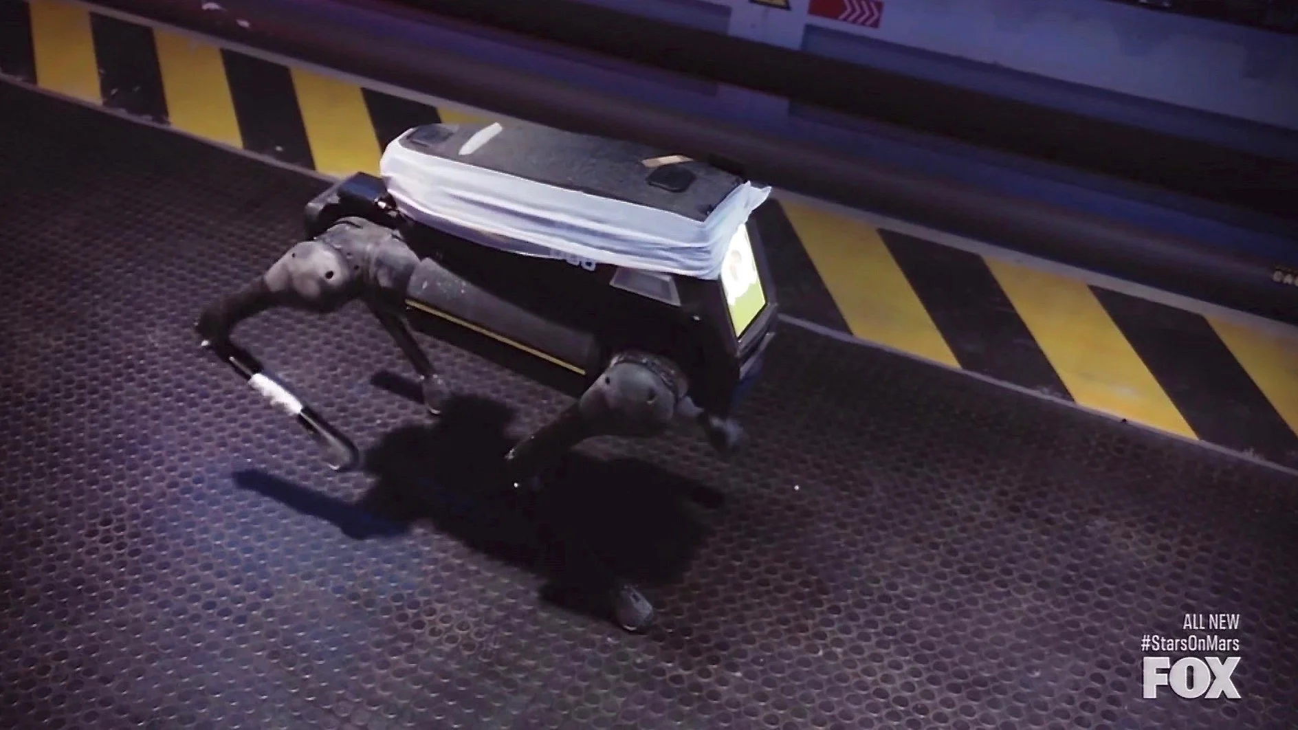 Raddog Robotic Dog Videos and Photos