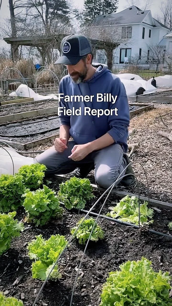 Harris Family Farm Foundation