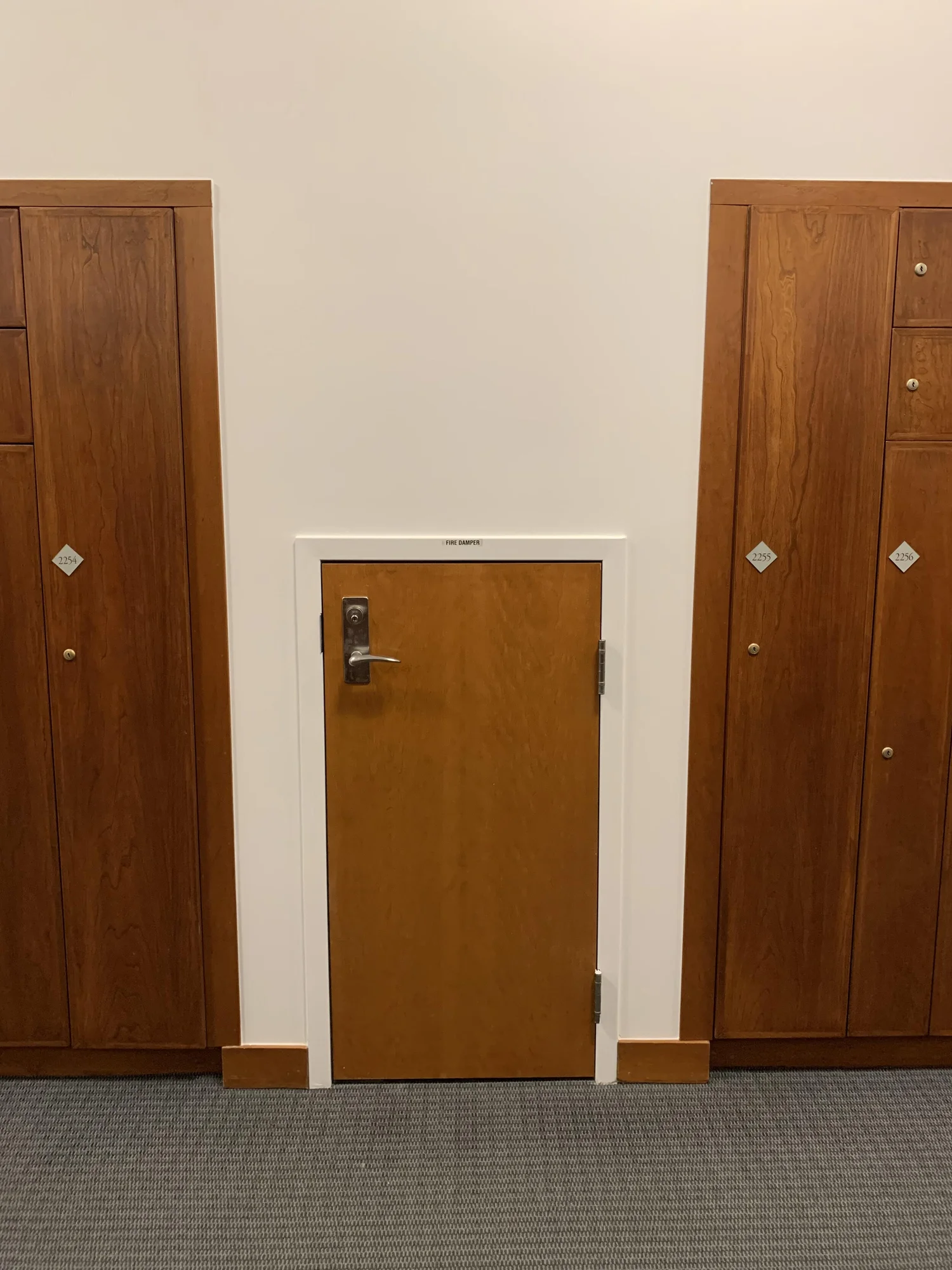 Ode to Tiny Door in the Second Floor Hallway — Virginia Law Weekly