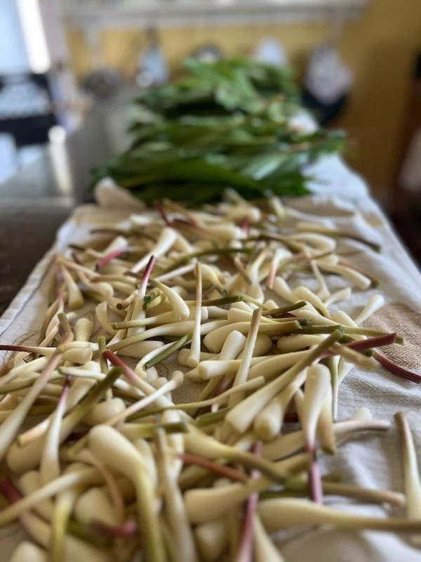 Ramping Up to a Tasty Spring — Virginia Law Weekly