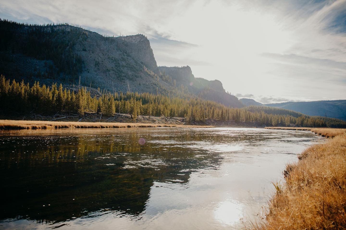 Updates — Yellowstone Scenic Tours