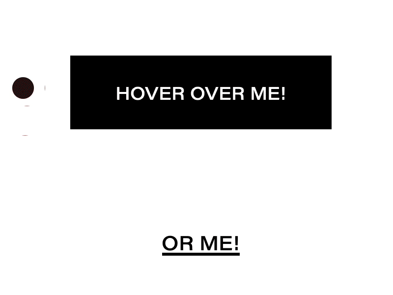 Squarespace Code Shop — Minimist Website Design | Squarespace Expert & Website Designer