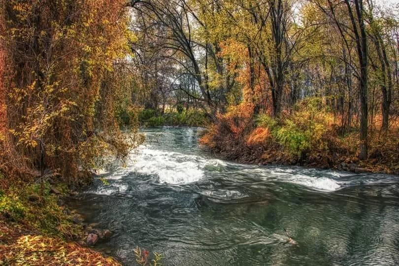 Summers by the Portenuf River — Brent M. Jones - Connected Events Matter