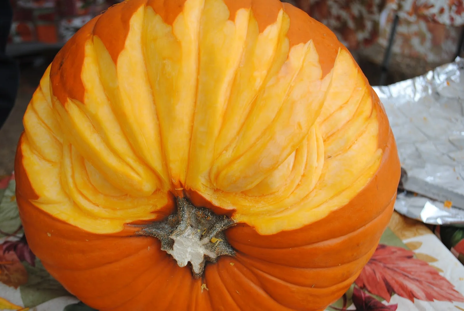 Pumpkin Patches in Medford, Oregon - Harvest Festival